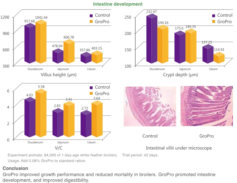 GystPH | Gro Pro Poultry